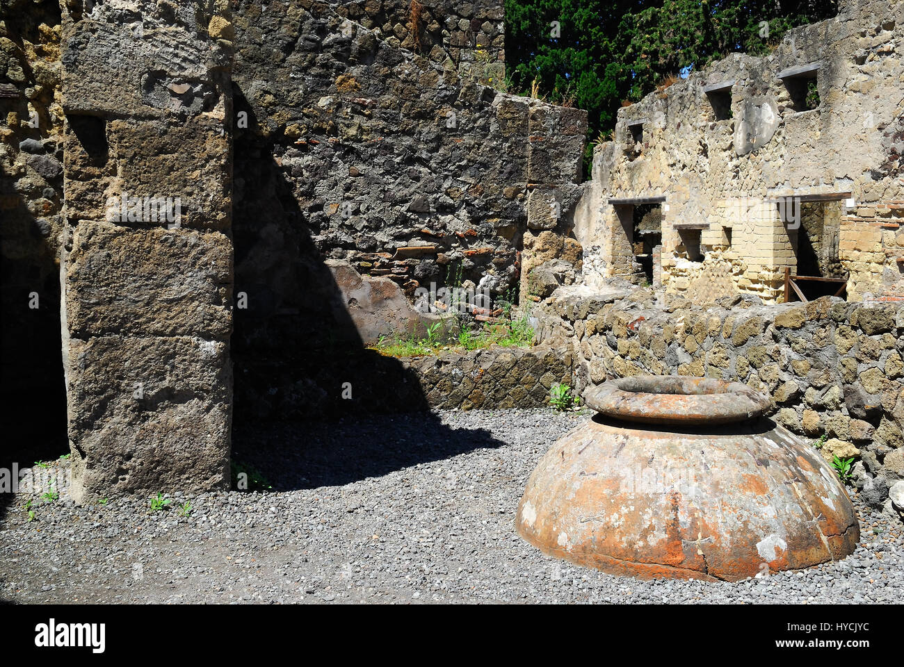 Dolium hi-res stock photography and images - Alamy