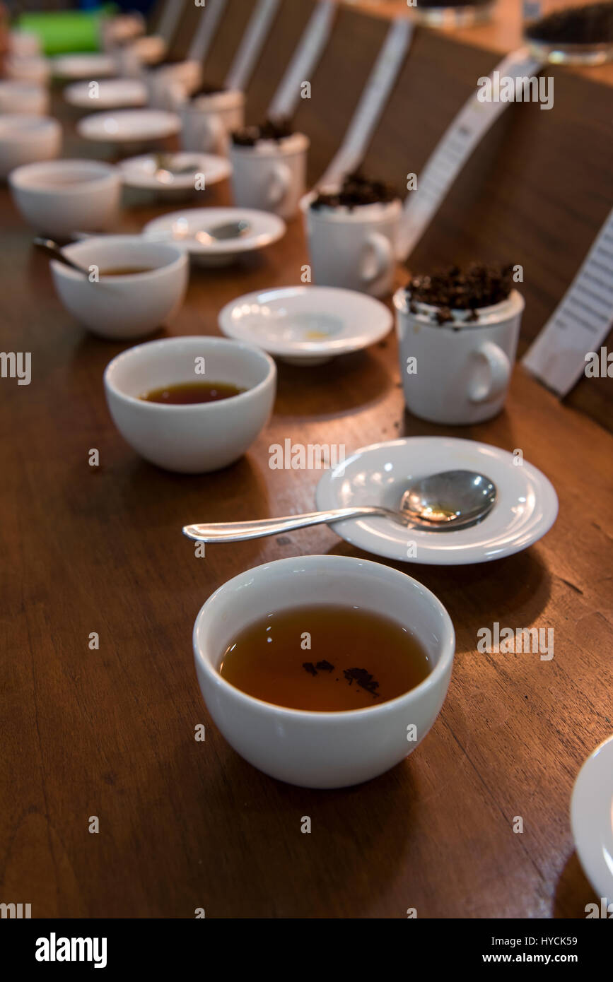 Tea tasting hi-res stock photography and images - Alamy