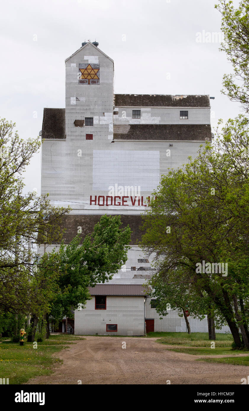 Rural Grain Elevator Canada in Hodgeville Saskatchewan Stock Photo - Alamy