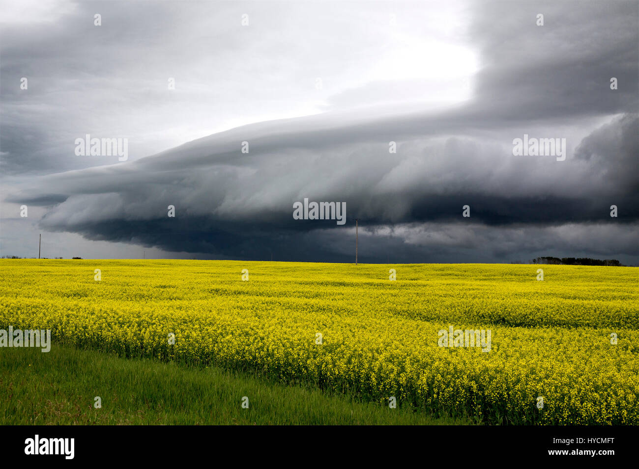 Storm Clouds Saskatchewan shelf cloud ominous warning Stock Photo - Alamy