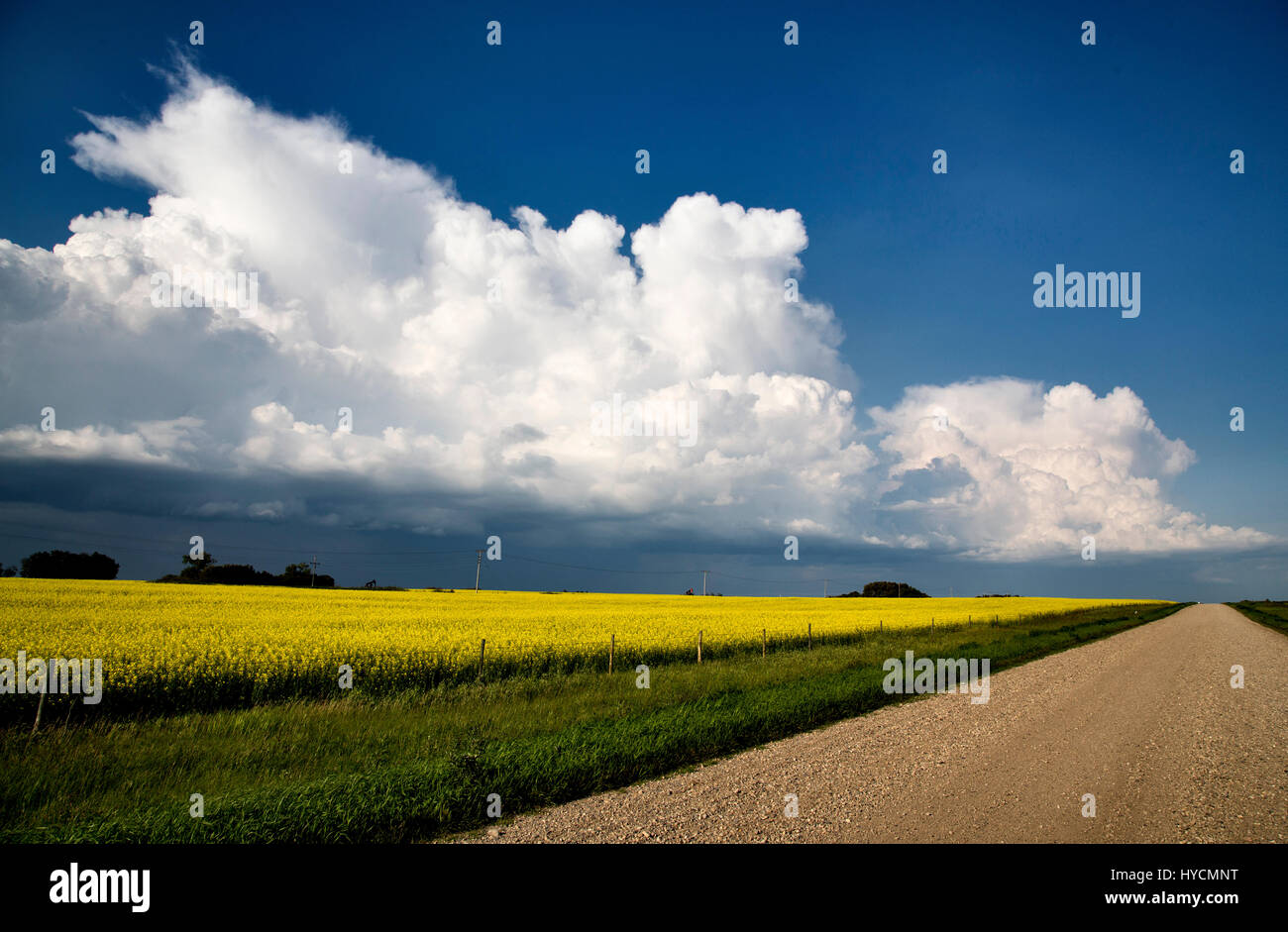 Storm Clouds Saskatchewan Prairie scene Canada Farm Stock Photo - Alamy