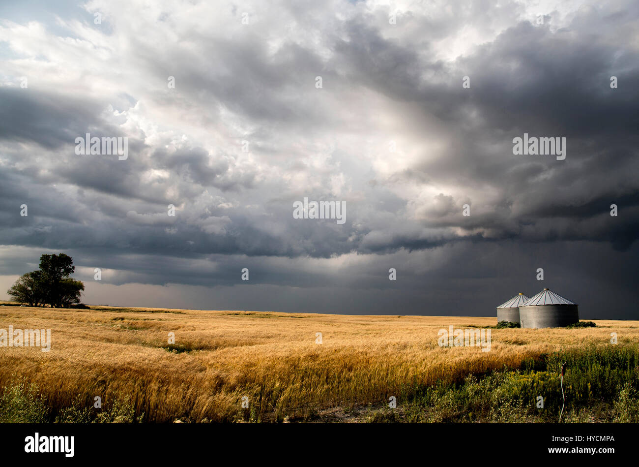 Storm Clouds Saskatchewan Prairie scene Canada Farm Stock Photo - Alamy