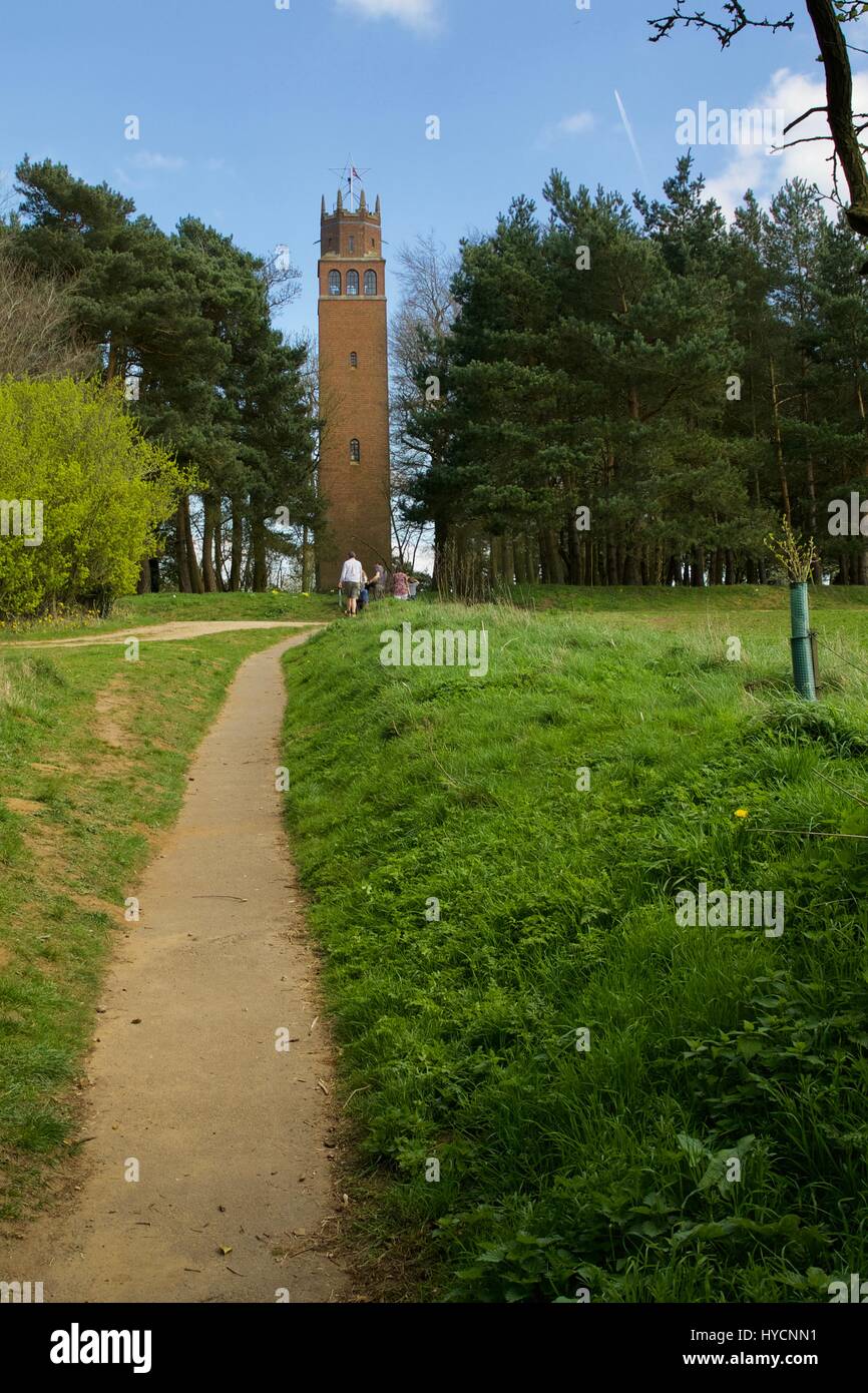 Faringdon folly tower and woodland hi-res stock photography and images ...