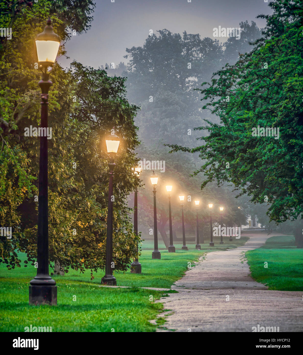 Lighted path with flowers hi-res stock photography and images - Alamy