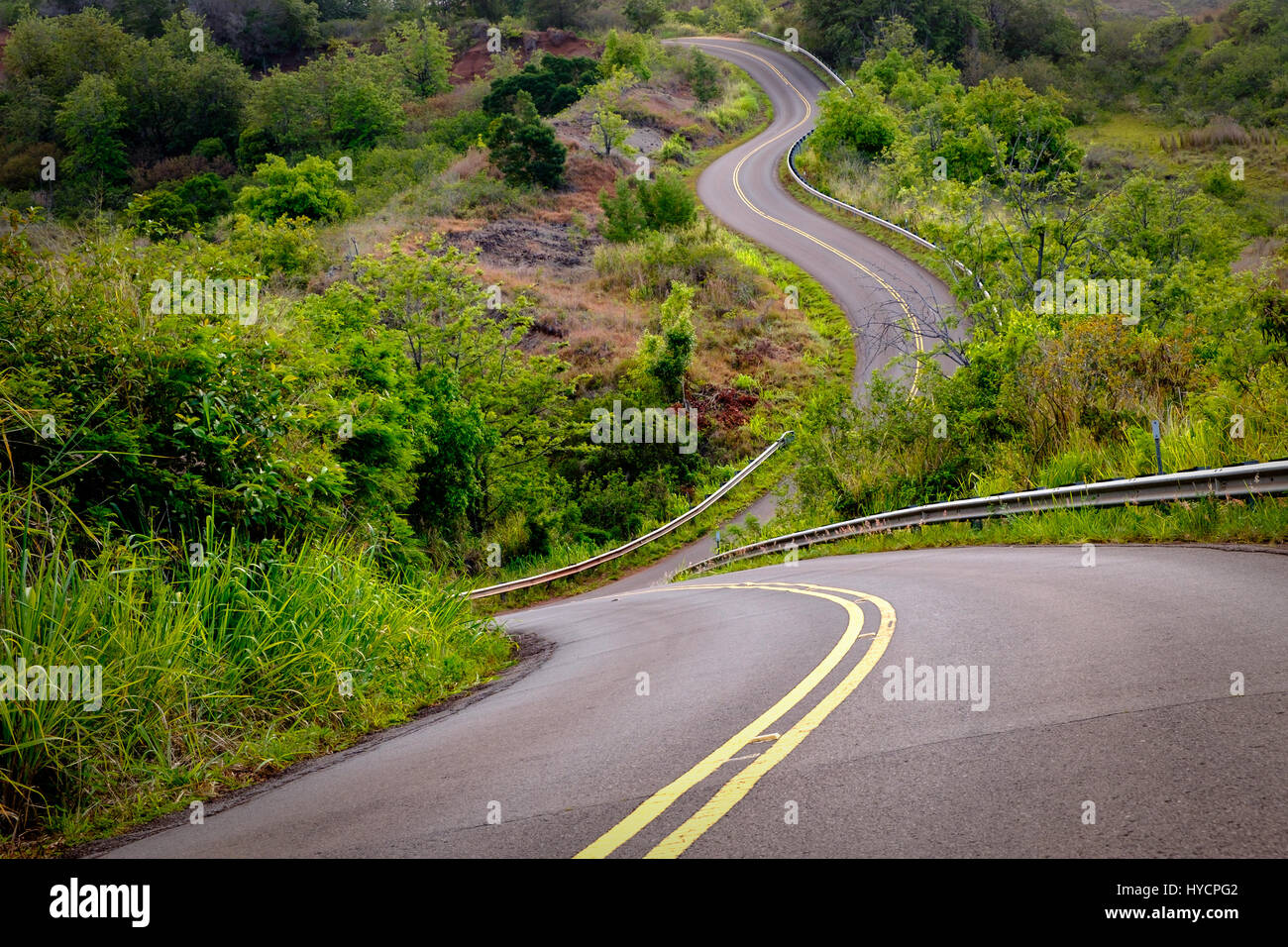 Curvy Road Landscape