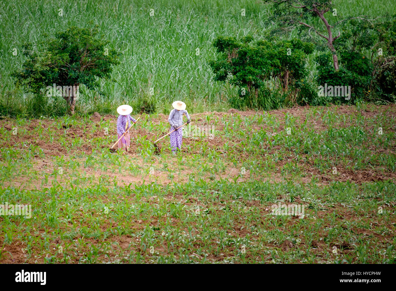 Two farmers working hi-res stock photography and images - Alamy