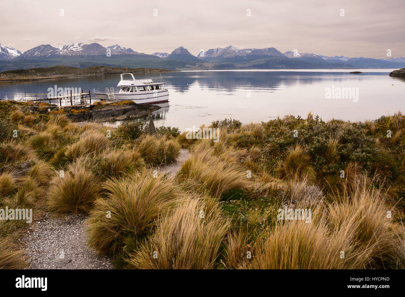 Beagle bay hi-res stock photography and images - Alamy