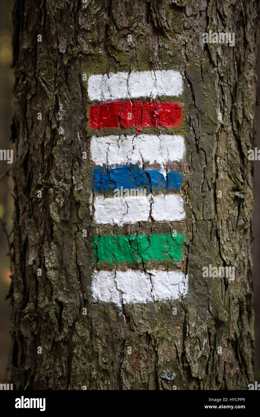 Colorful signs for hiking on the bark of a tree Stock Photo - Alamy