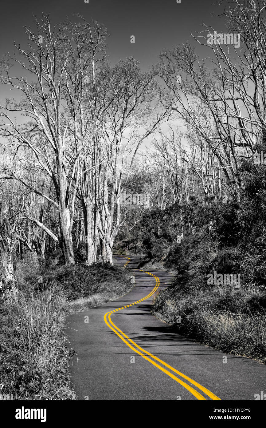 Monochrome landscape view of curvy road in selective yellow color Stock ...