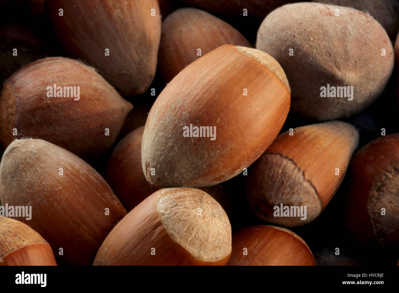 background of many of brown hazelnuts photographed by macro lens Stock ...