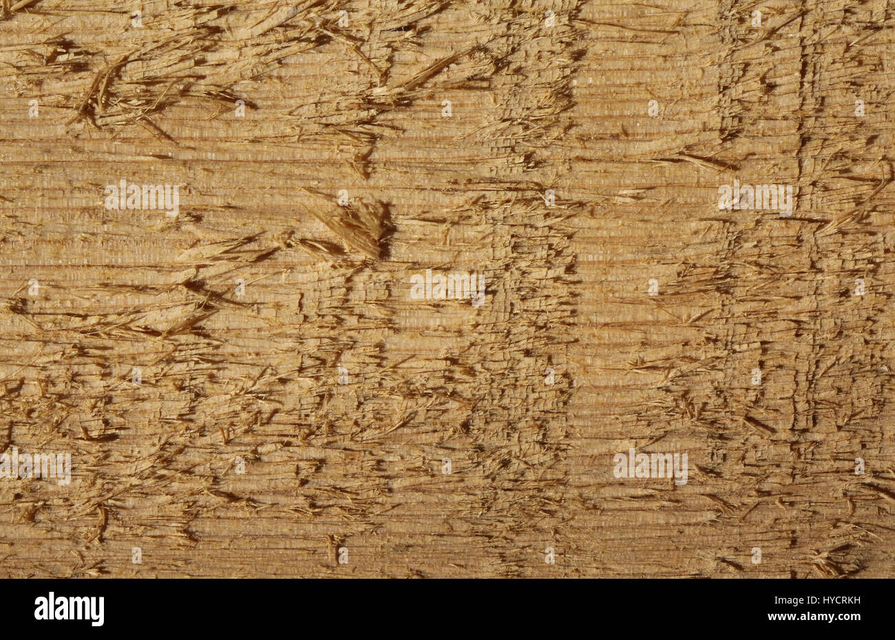 Photographed evidence hi-res stock photography and images - Alamy