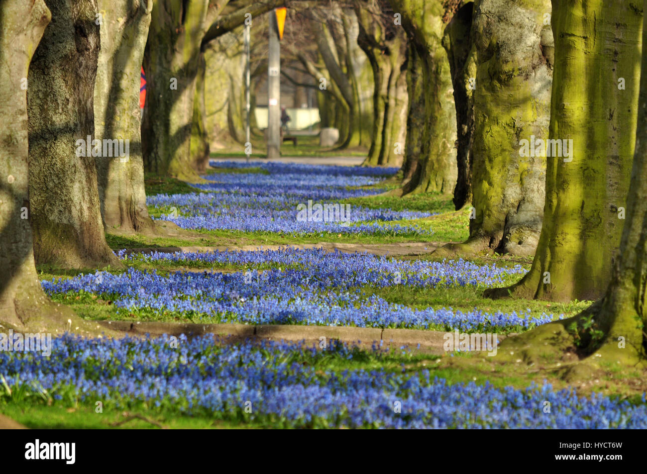 Poland spring hi-res stock photography and images - Alamy