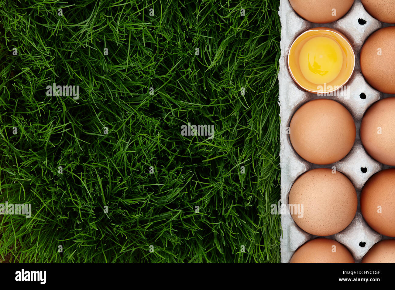 Natural brown eggs box in green grass Stock Photo - Alamy
