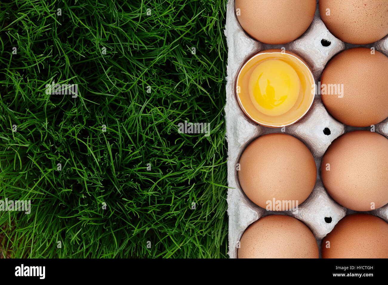 Natural brown eggs box in green grass Stock Photo - Alamy