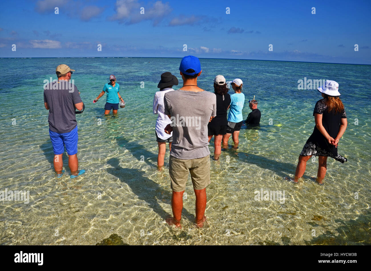 Tourists with a guide during fish feeding on Lady Elliot Island, Great ...