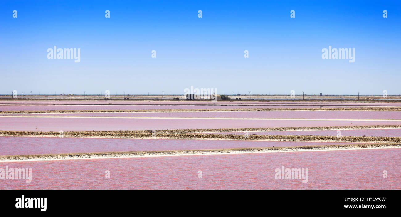 Camargue park, Giraud pink salt flats landscape. Rhone delta, Provence ...