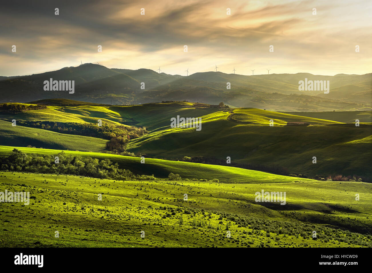 Tuscany spring, rolling hills on sunset. Rural landscape. Green fields ...
