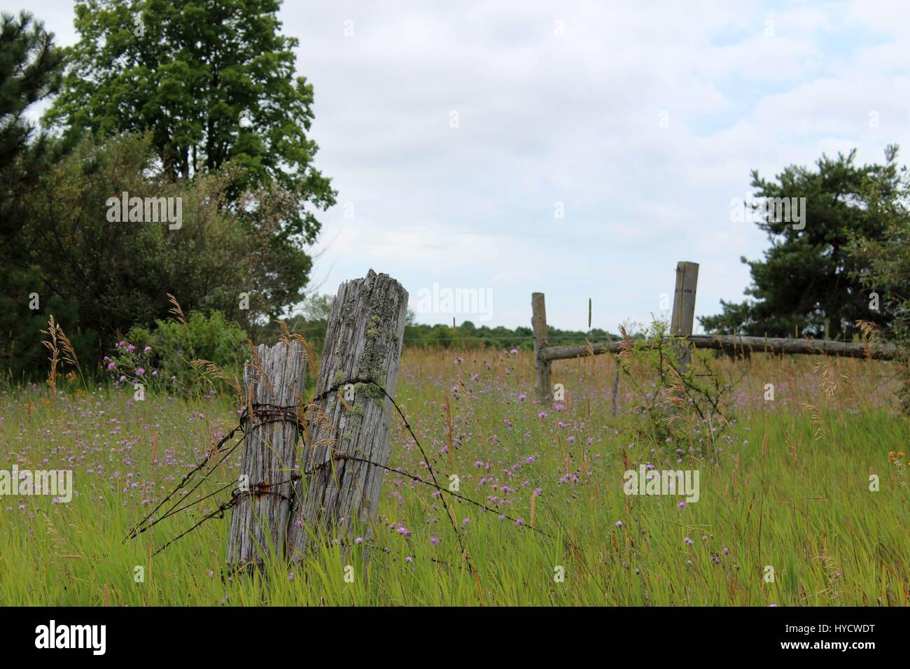 Old fence posts hi-res stock photography and images - Alamy
