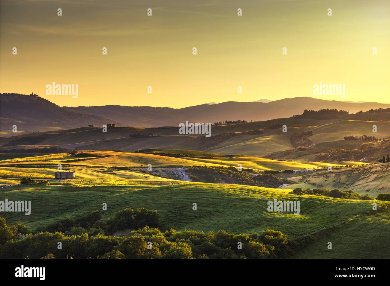 Tuscany spring, rolling hills on sunset. Rural landscape. Green fields ...