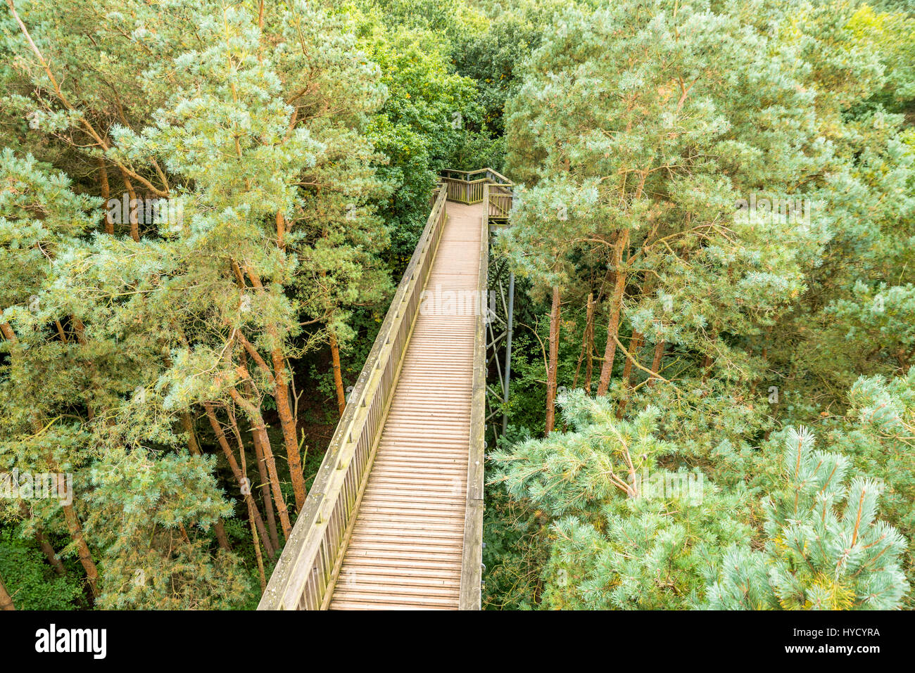 Overhead crosswalk hi-res stock photography and images - Alamy