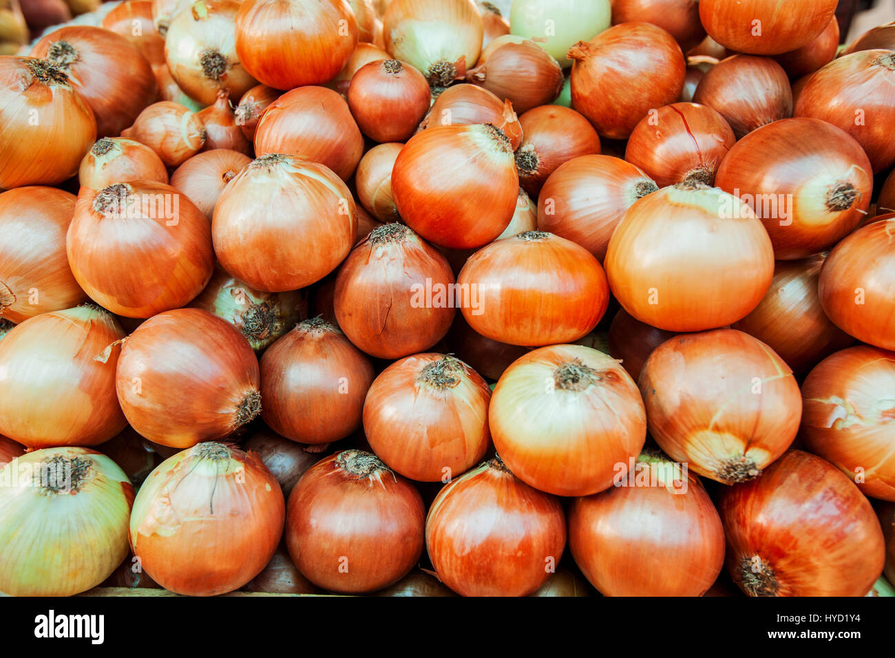 Fresh onion healthy vegetable on farmers market Stock Photo - Alamy