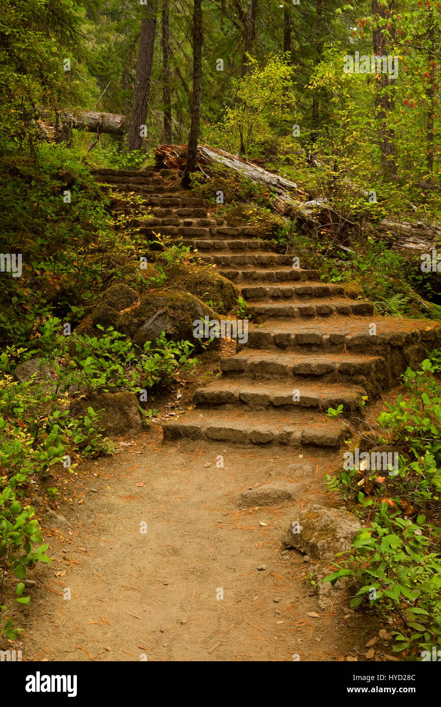Stone Step Hiking Trail In The Woods Stock Photo - Alamy