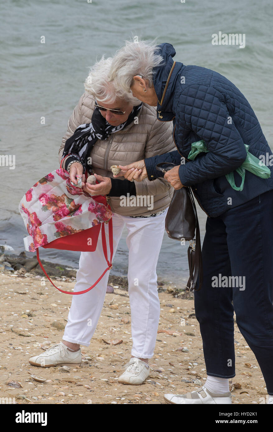 Seashell pickers in Culatra,Algarve,Portugal Stock Photo - Alamy