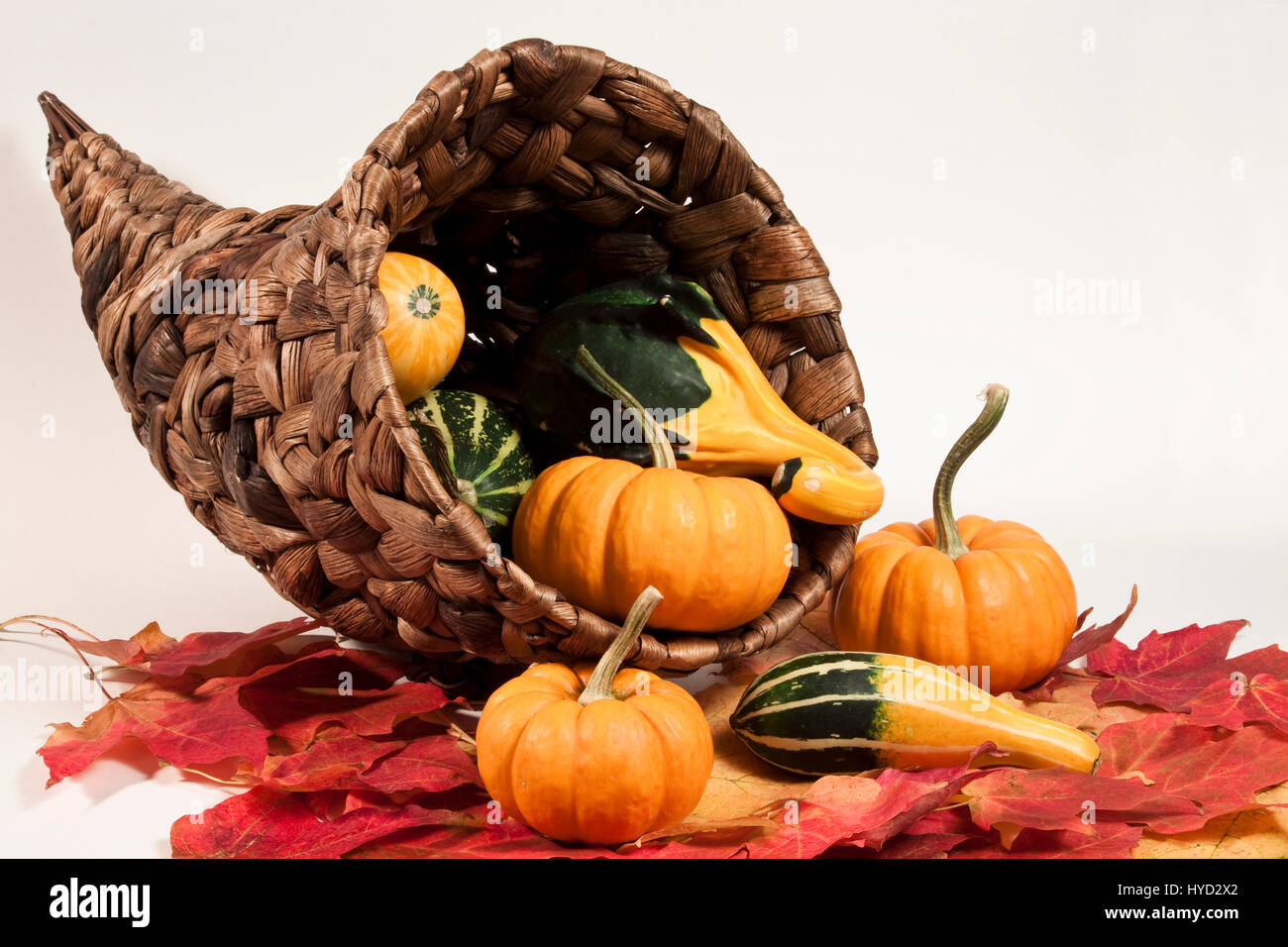 Cornucopia display hi-res stock photography and images - Alamy