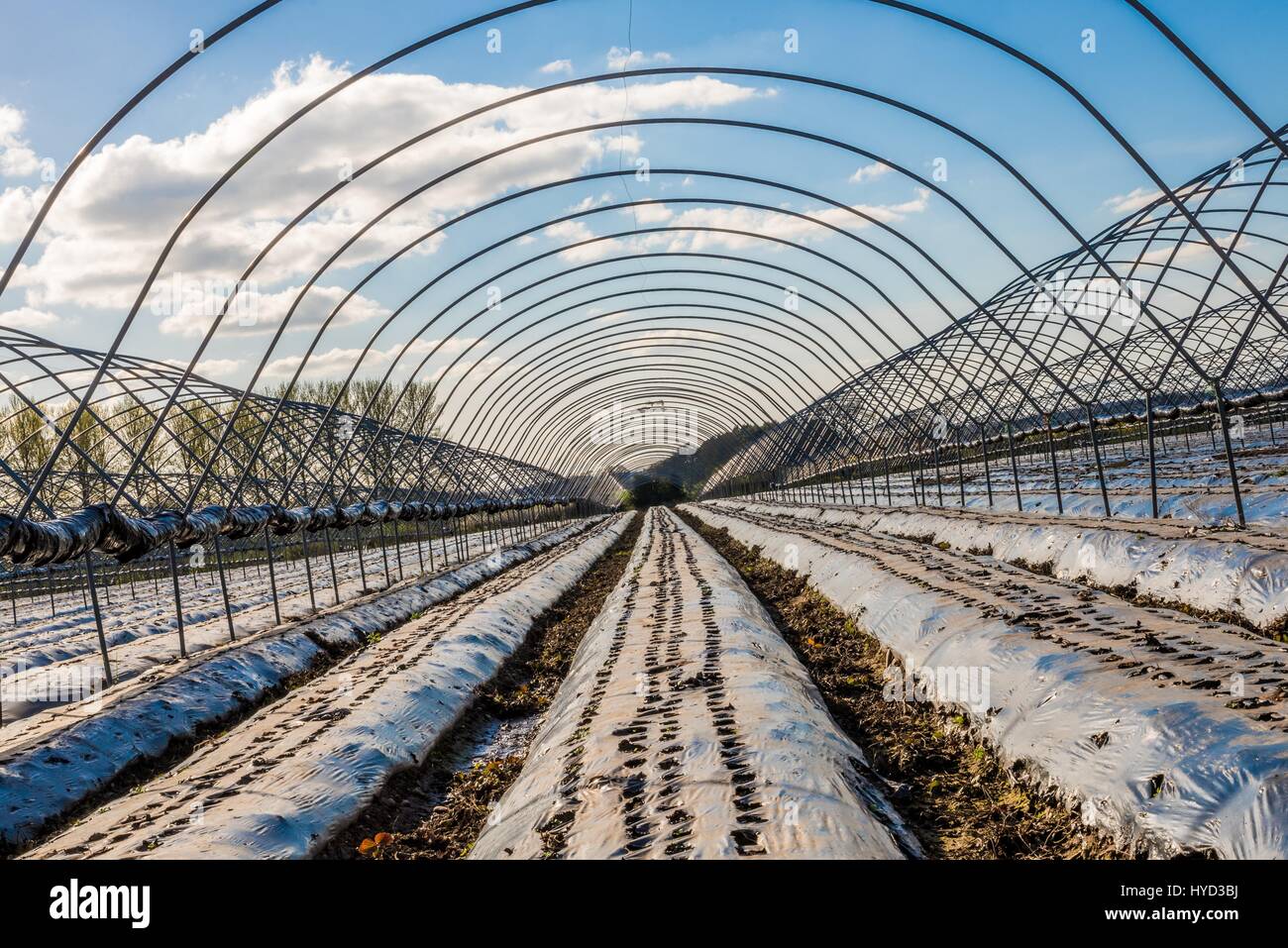 Farming irrigation hi-res stock photography and images - Alamy