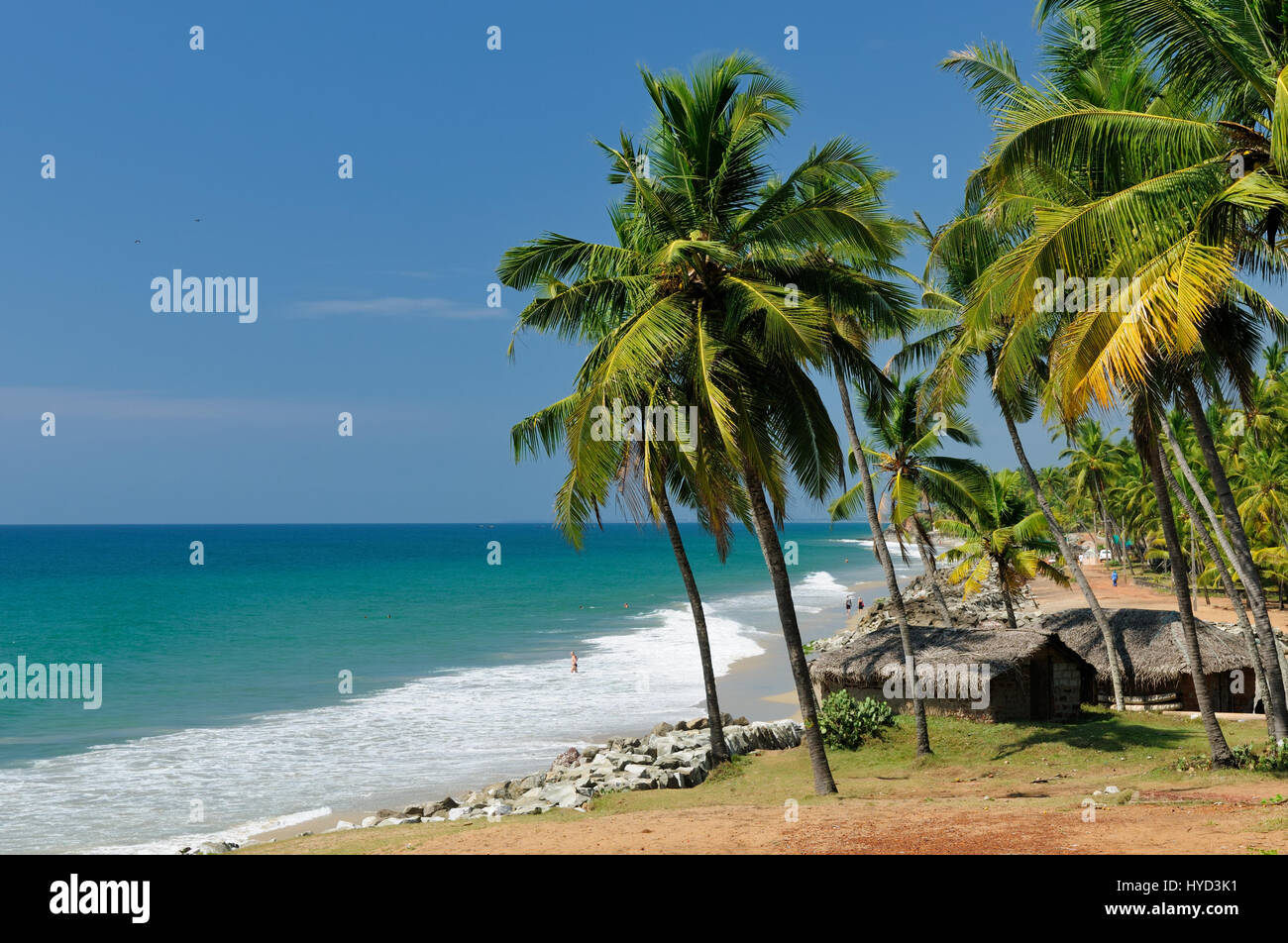 Exotic cliff beach in Varkala. Kerala. India Stock Photo - Alamy
