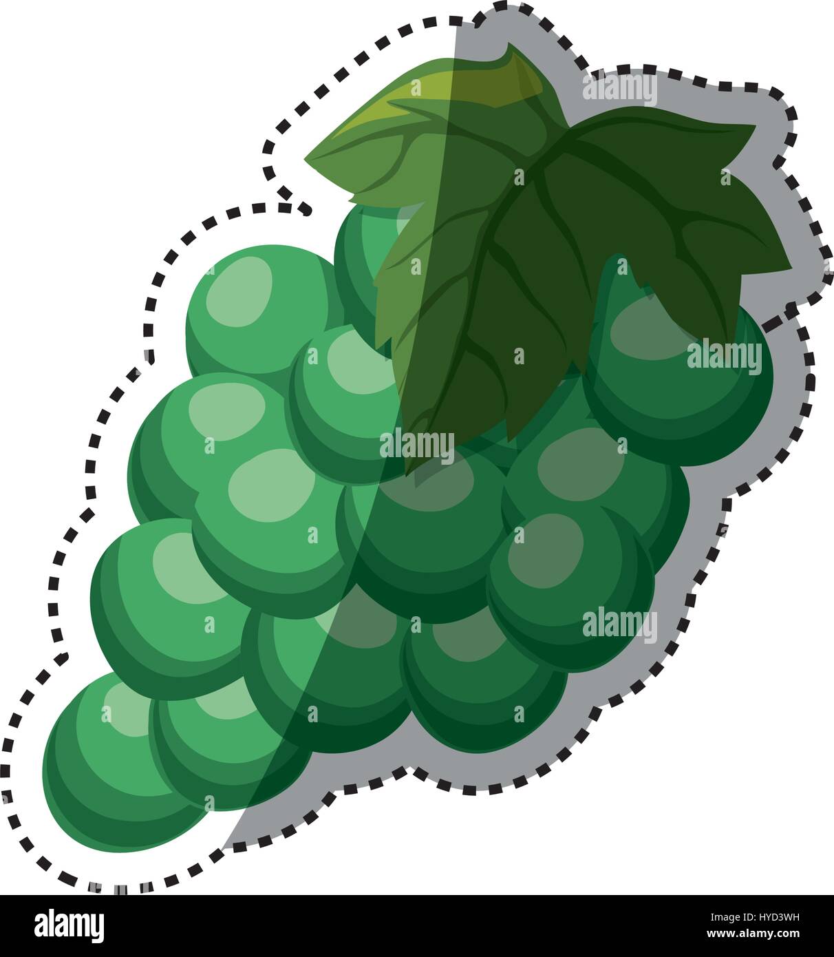 Delicious grapes fruit vector illustration graphic design Stock Vector Image & Art - Alamy