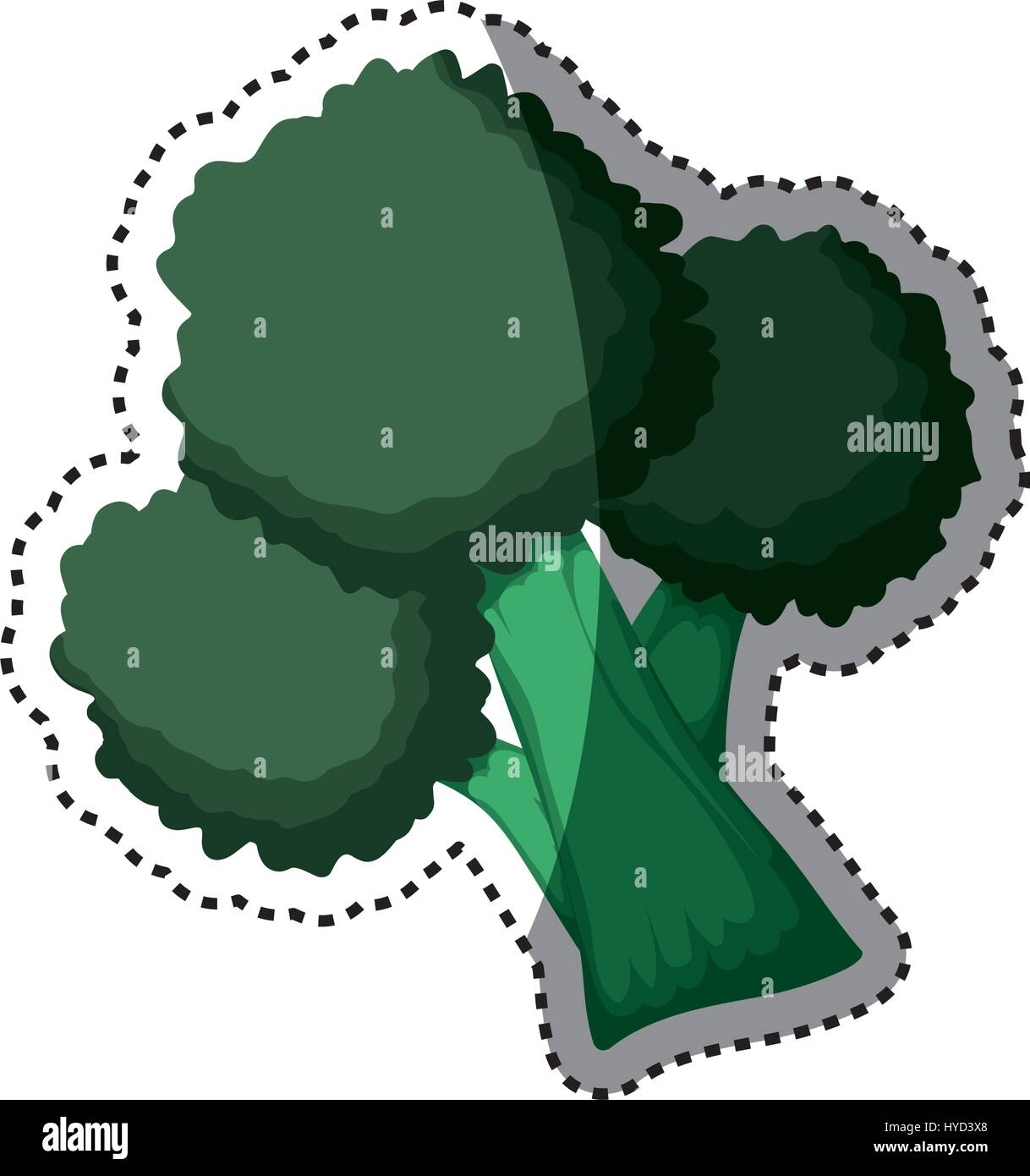 Fresh broccoli vegetable vector illustration graphic design Stock ...