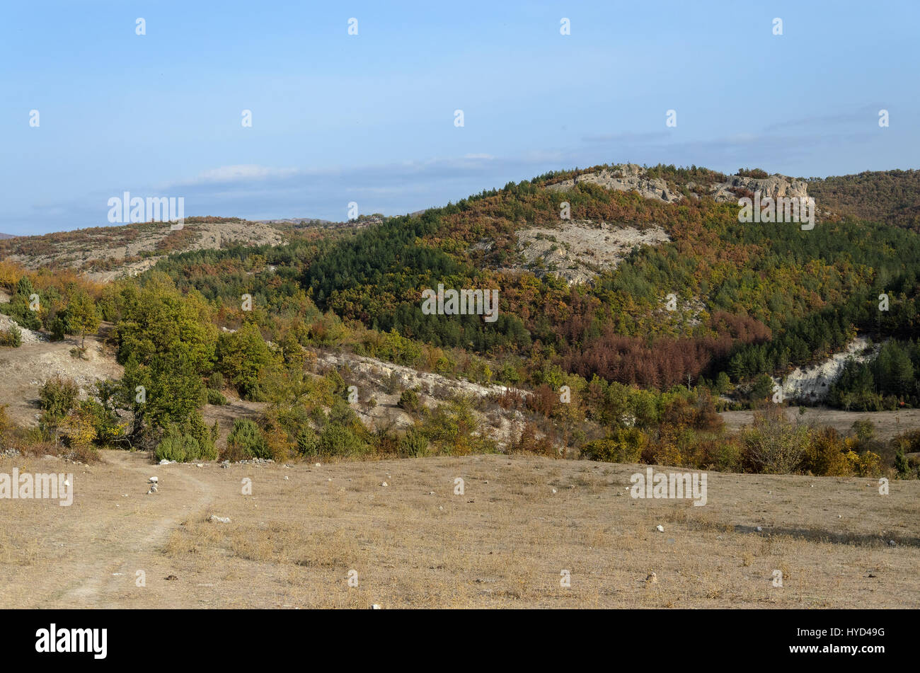 Hill covered with trees hi-res stock photography and images - Alamy