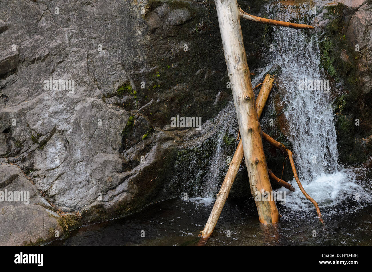 Pine tree logs fallen into a small mountain stream with waterfall Stock ...