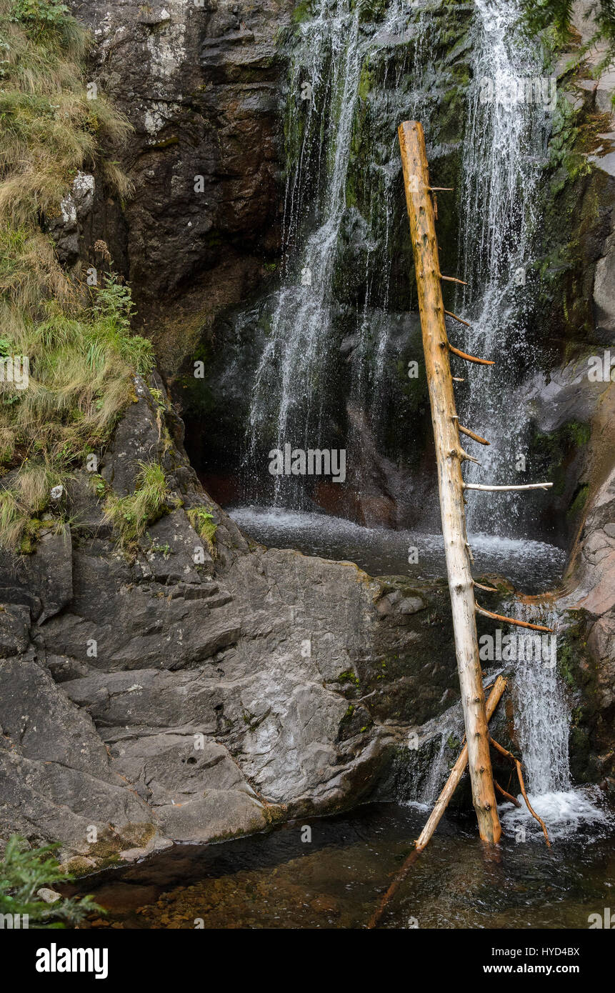 Pine tree logs jammed into a small mountain stream with waterfall Stock ...
