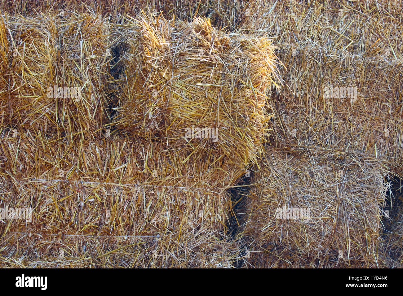 straw stacked in bales in the farm Stock Photo - Alamy