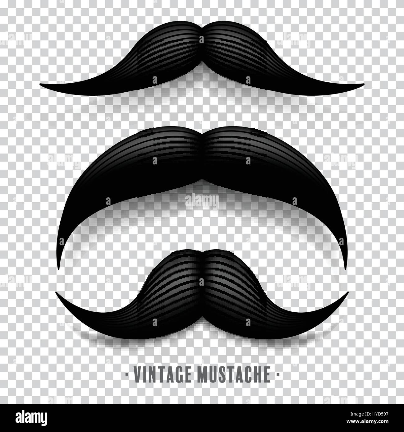 Mustache isolated on white. Black vector vintage moustache. Facial hair ...