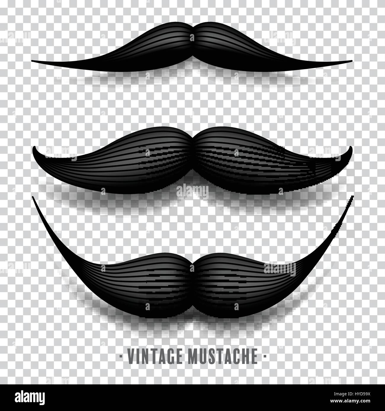 Mustache isolated on white. Black vector vintage moustache. Facial hair ...