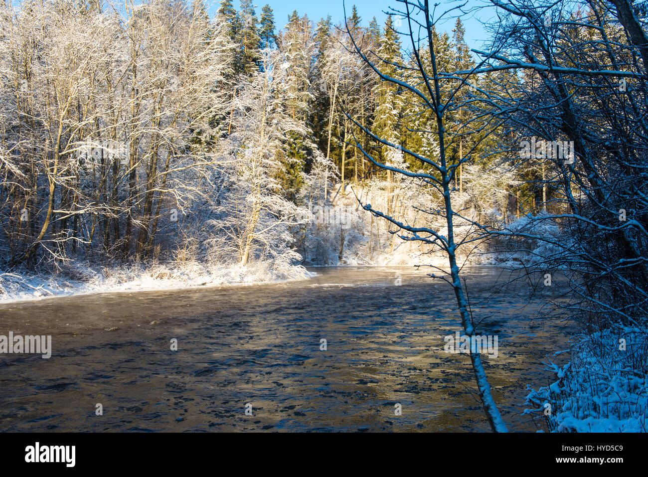 snowy winter river landscape with snow covered trees and blue sky Stock ...