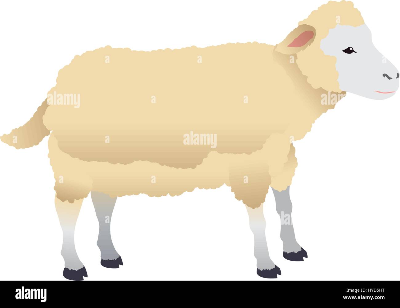 Sheep farm animal Stock Vector Image & Art - Alamy