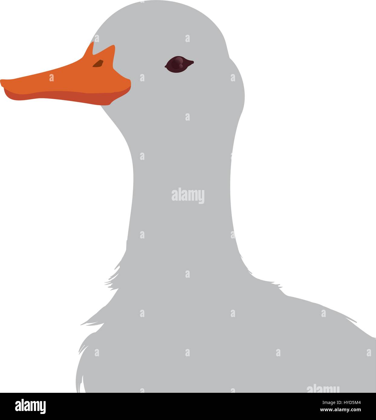 Duck farm animal Stock Vector Image & Art - Alamy