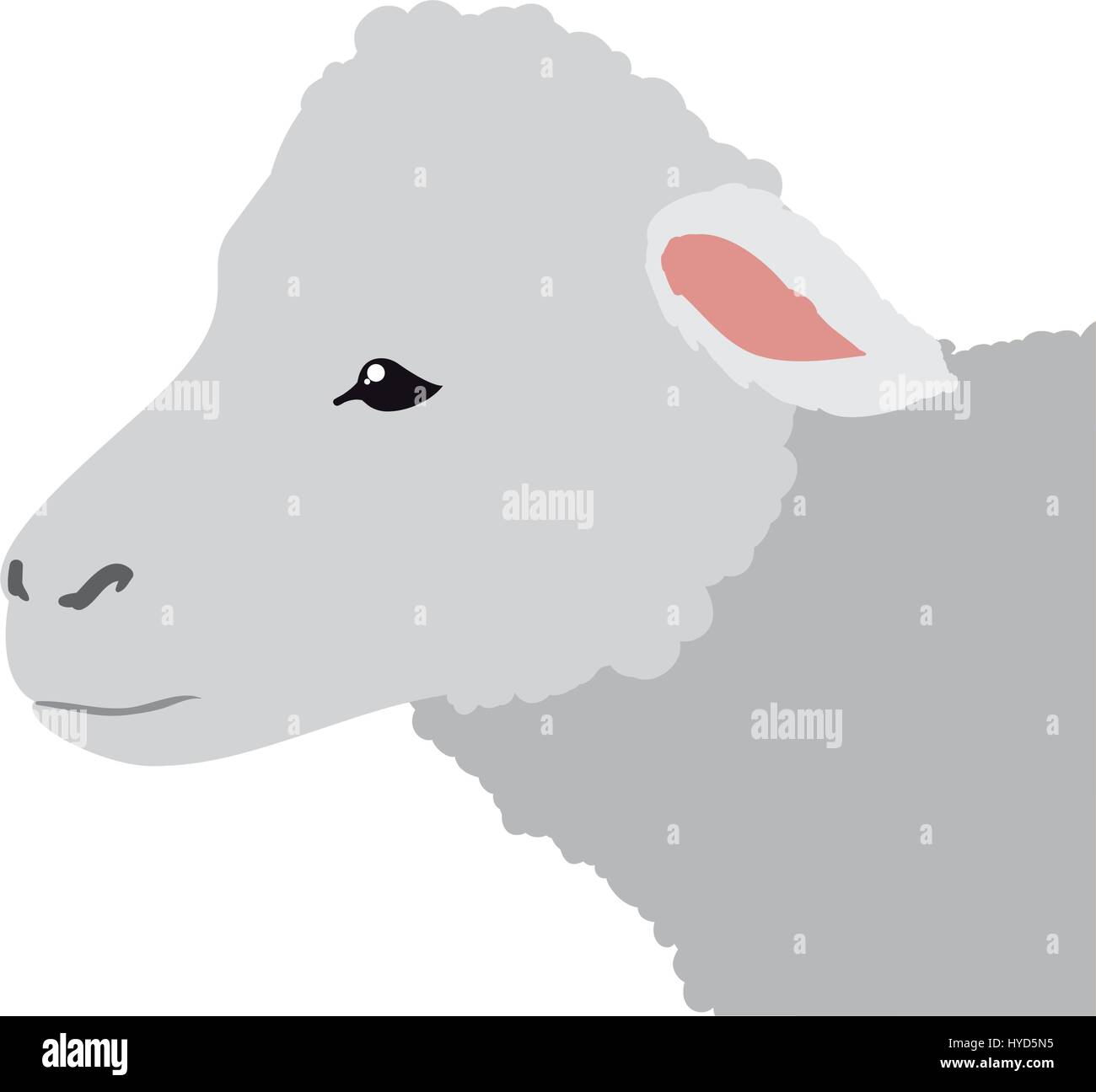 Sheep farm animal Stock Vector Image & Art - Alamy