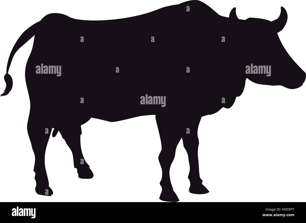 Bull farm animal Stock Vector Image & Art - Alamy