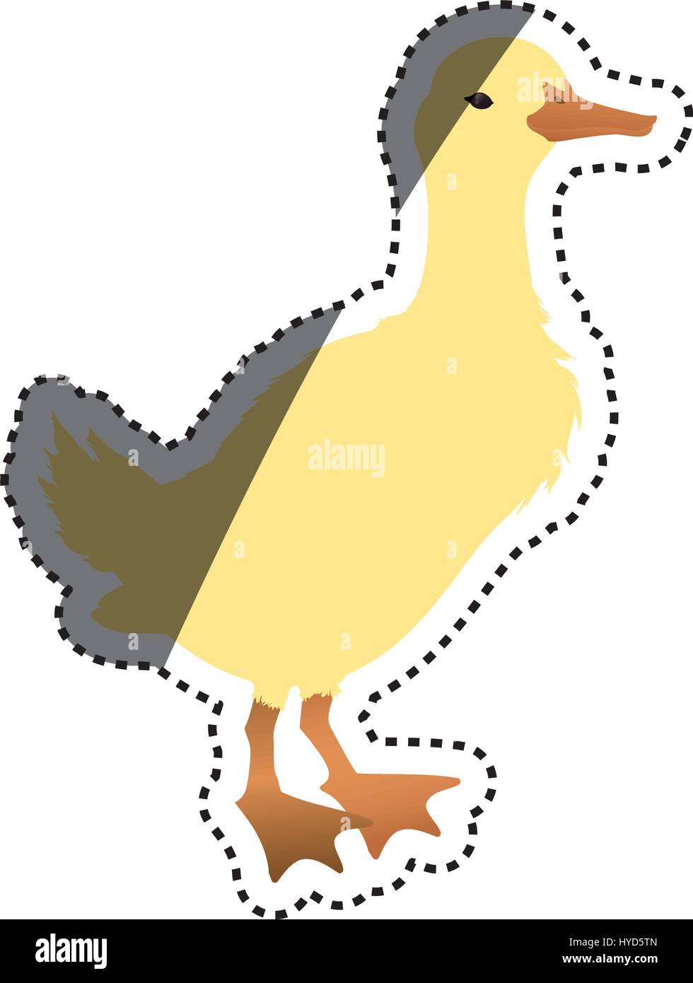Duck farm animal Stock Vector Image & Art - Alamy