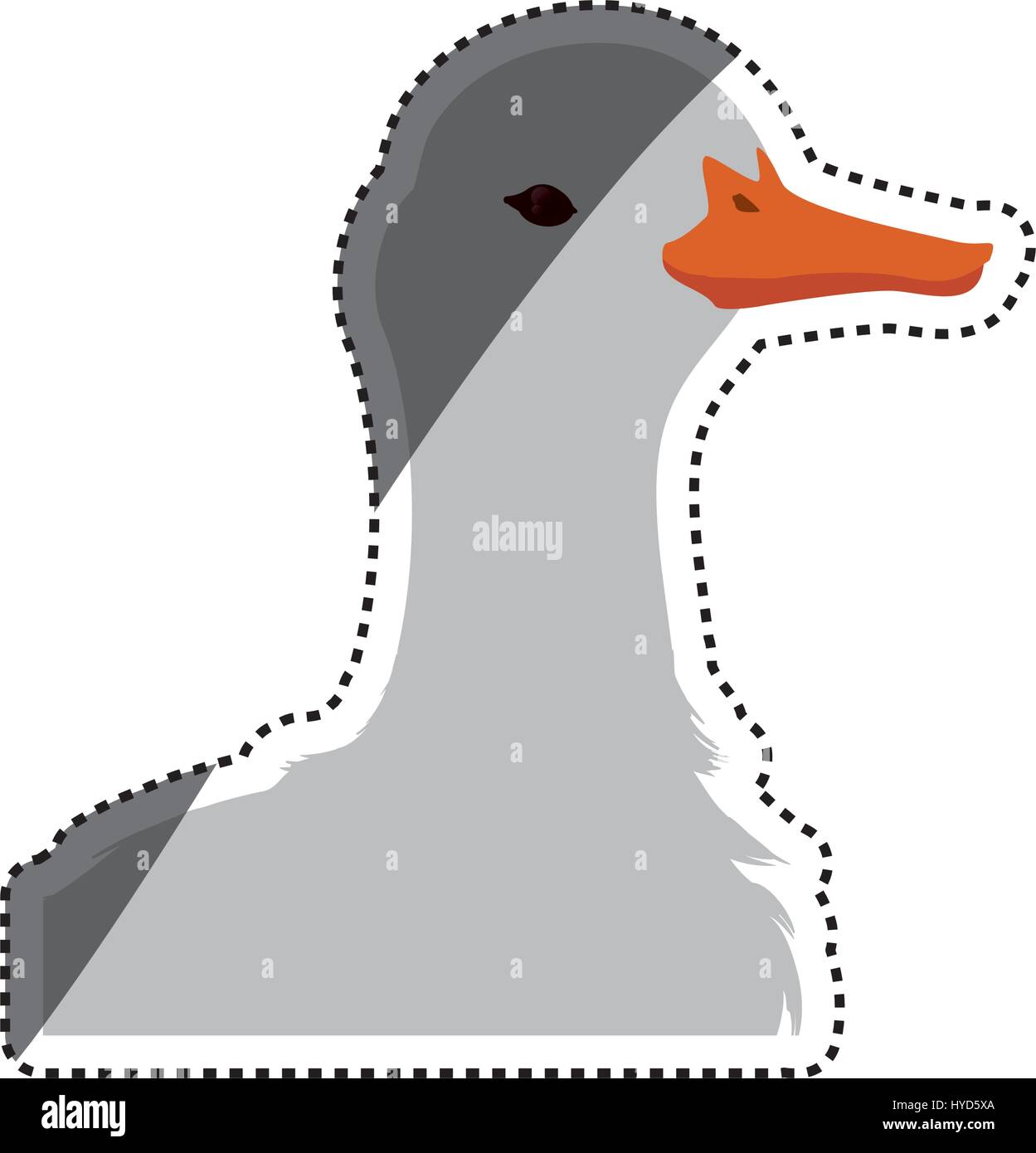 Duck farm animal Stock Vector Image & Art - Alamy