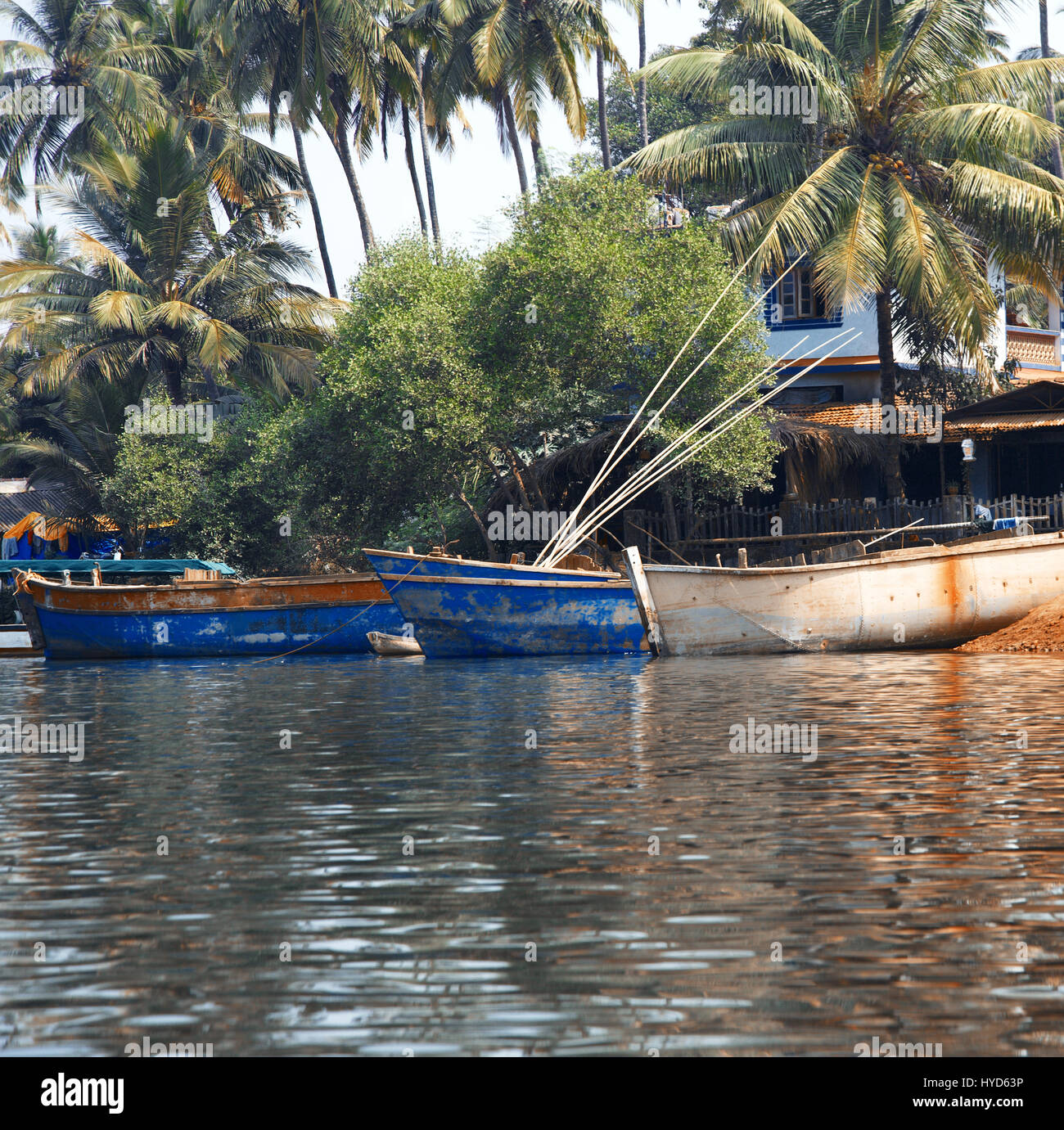 Fishing boats at the pier in palm jungles. Goa, India Stock Photo - Alamy