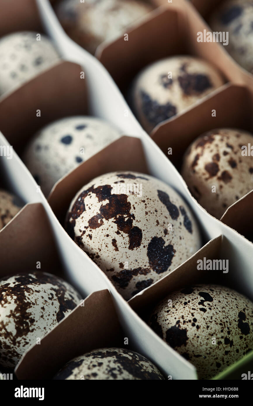 Carton box quail eggs hi-res stock photography and images - Alamy