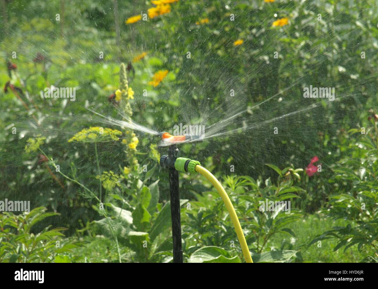 Drops vegetable hi-res stock photography and images - Alamy