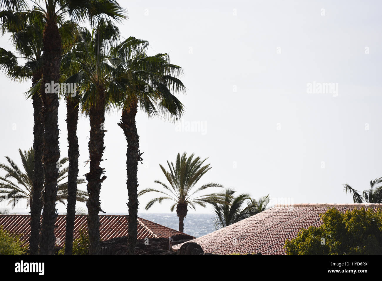 Coconut palm leaf roof hi-res stock photography and images - Alamy
