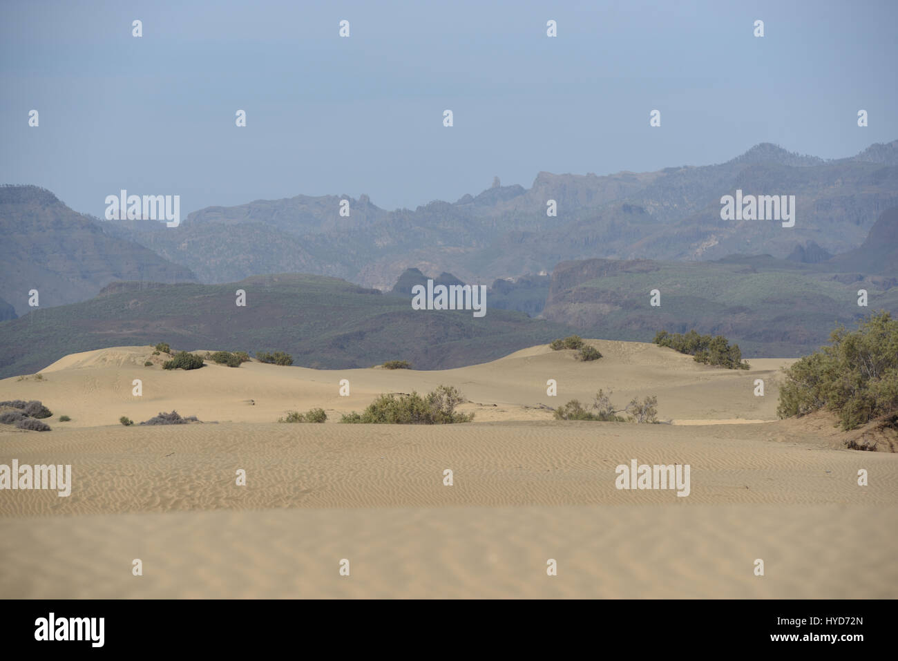 Sand dunes scenery with blue sky Stock Photo - Alamy